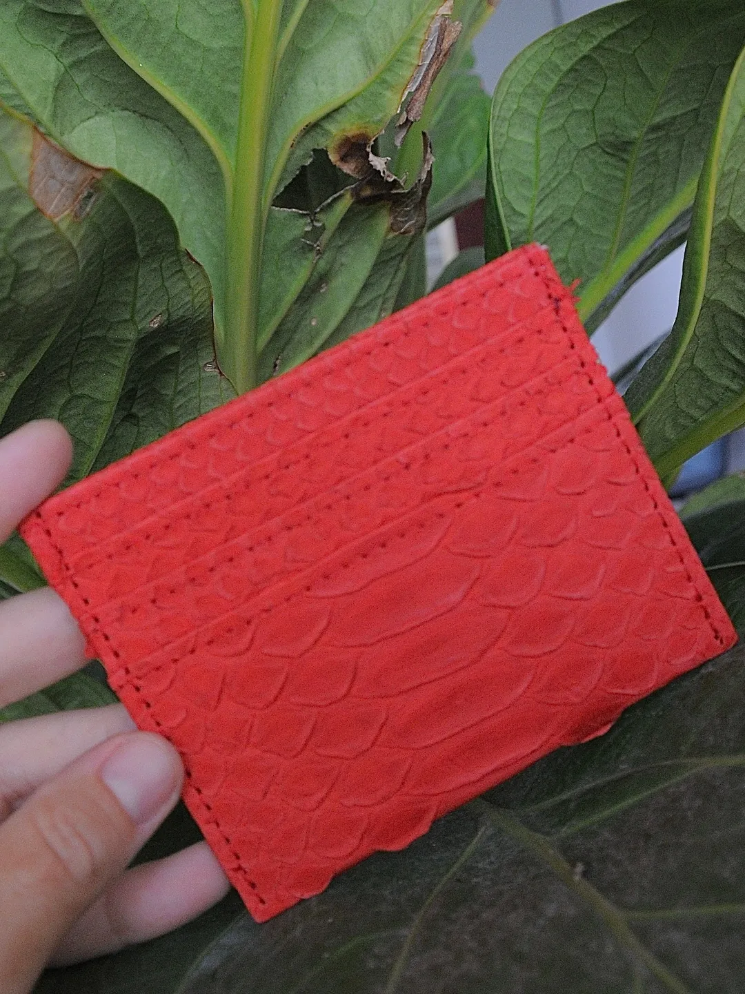 Genuine python skin creditcards holder red | business car holder ...