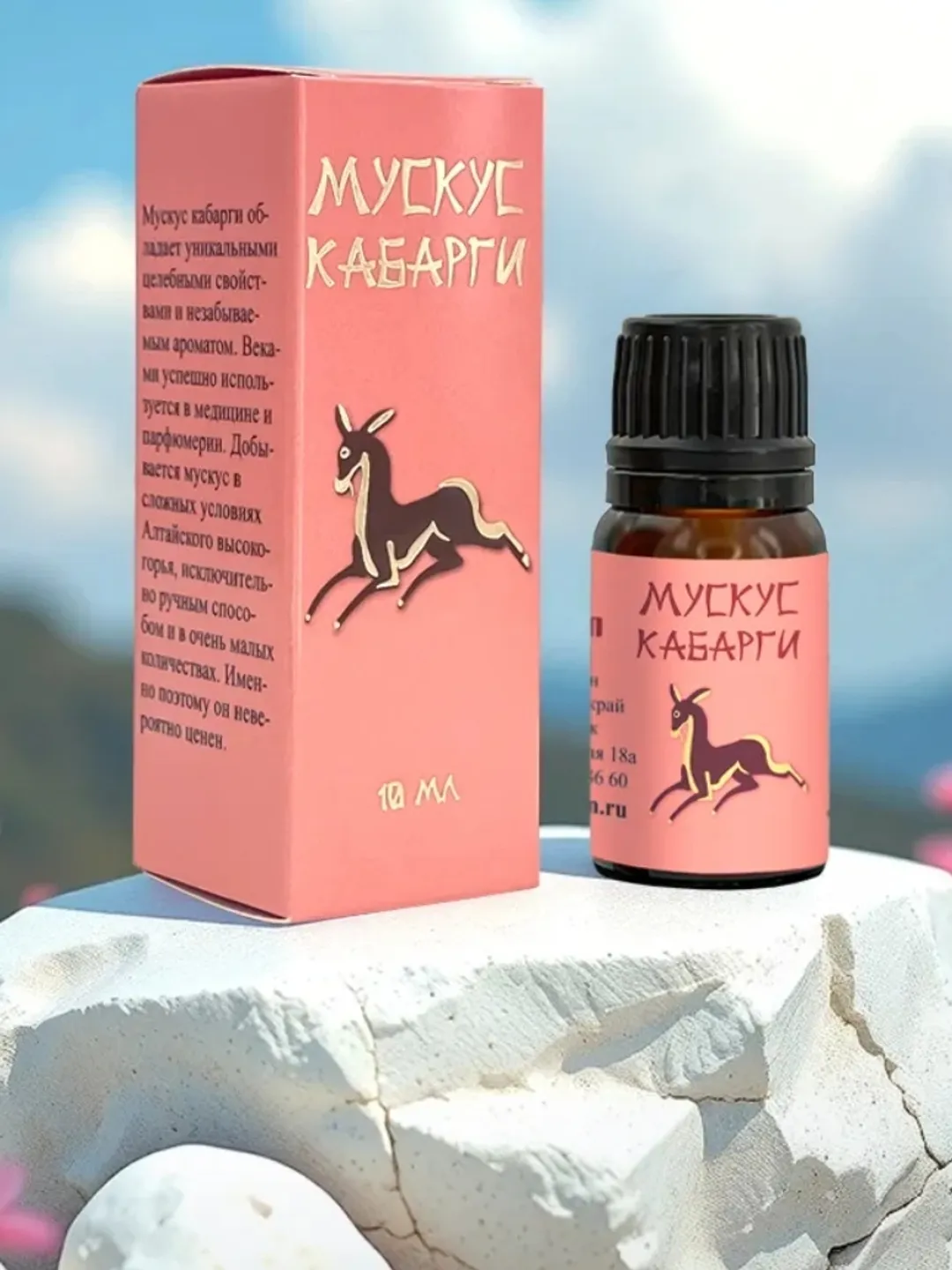 Musk of musk deer (musk deer stream) -Moschus Moschiferus pure 0,035 oz ...