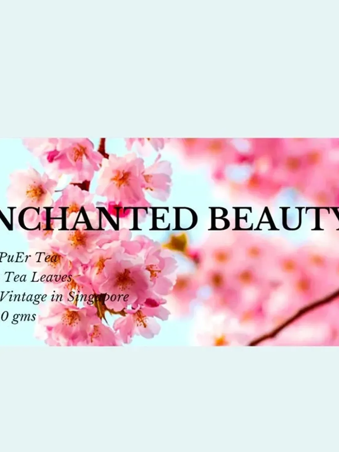 Sheng PuEr Tea ENCHANTED BEAUTY® 2011 loose leaves 50g with stainless ...