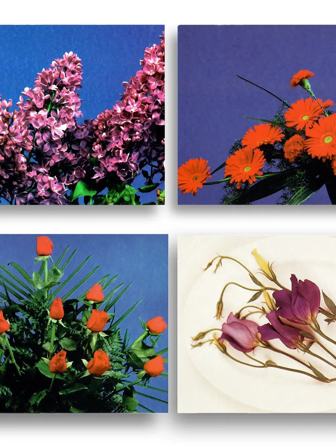 Set of 8 vintage postcards with flower arrangements, the 90s. Roses ...