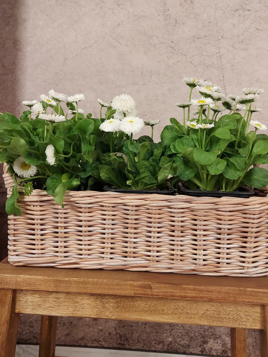 Wicker flower basket. Beige rectangular handmade basket