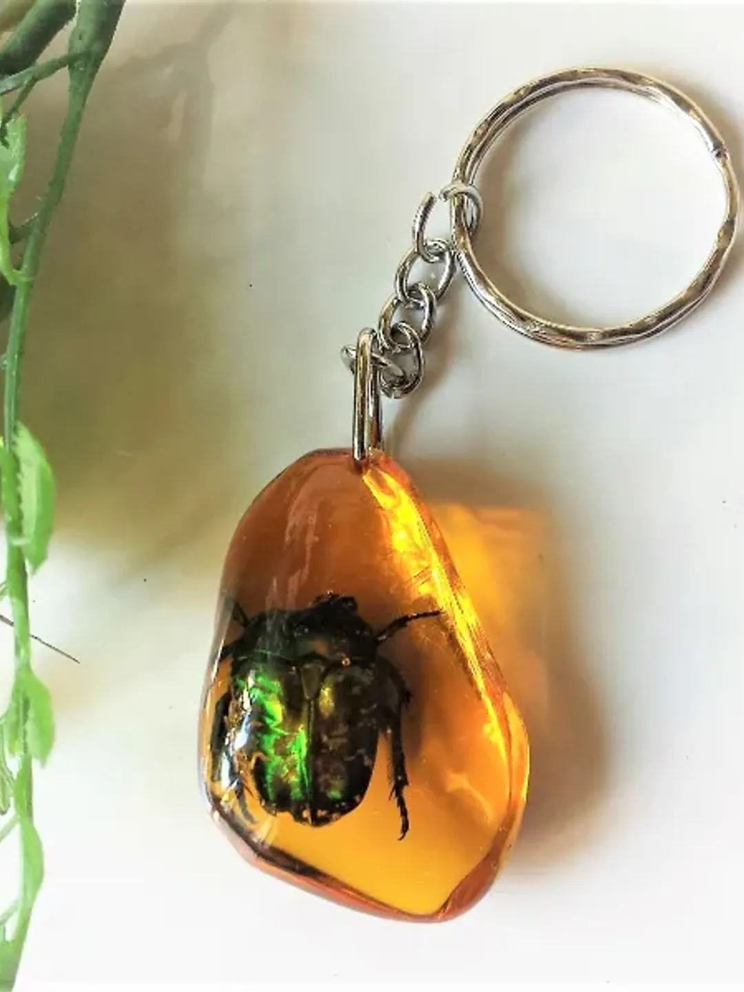 Real insect In Resin keychain Green Bug Beetle In Amber Resin keychain ...