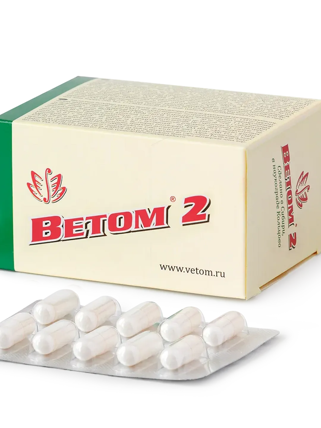 Powerful Probiotic Microorganisms Stomach Intestines Microflora Betom 2 ...