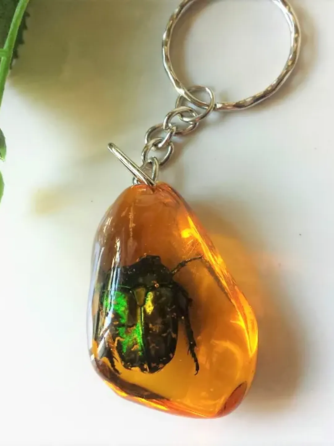 Real insect In Resin keychain Green Bug Beetle In Amber Resin keychain ...