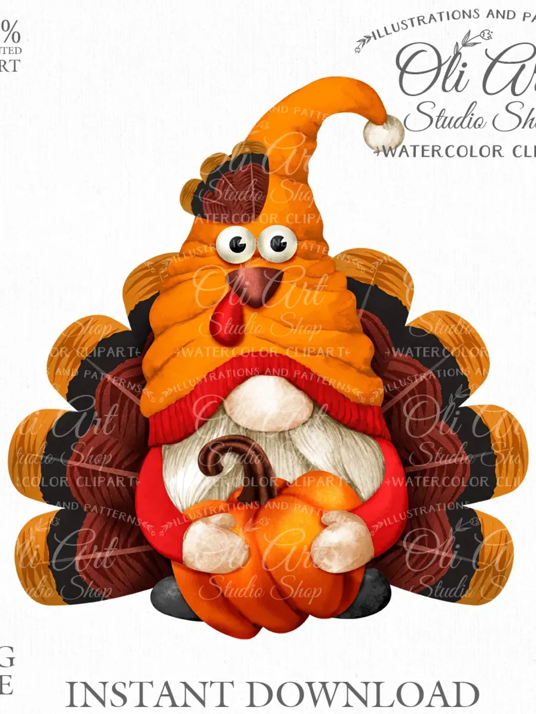 Fall Gnome Clip Art. Turkey Gnome. Autumn. Pumpkin. Hand Drawn graphics ...