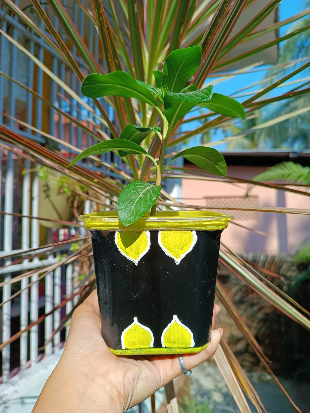 Handpainted flower pot on acrylic for home decoration.