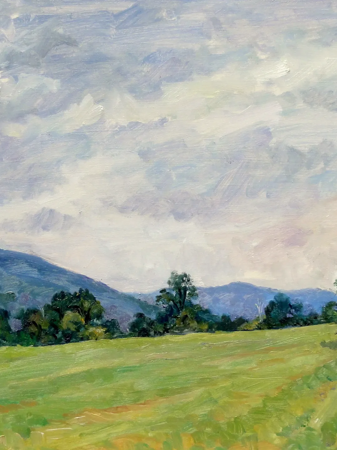 11x14 Landscape Painting - Summer Fields/Silver Light/Berkshires - Oil ...