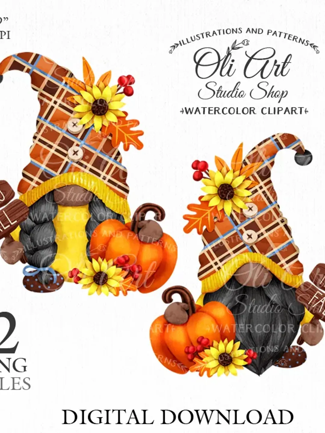Thanksgiving Day. Turkey and gnomes clipart. Fall. Clip art png