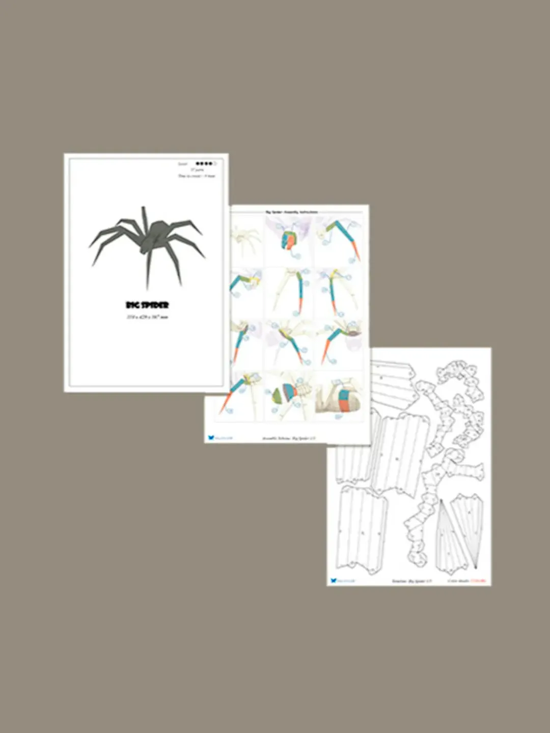Spider Model Papercraft Template Digital Template for Printing and ...