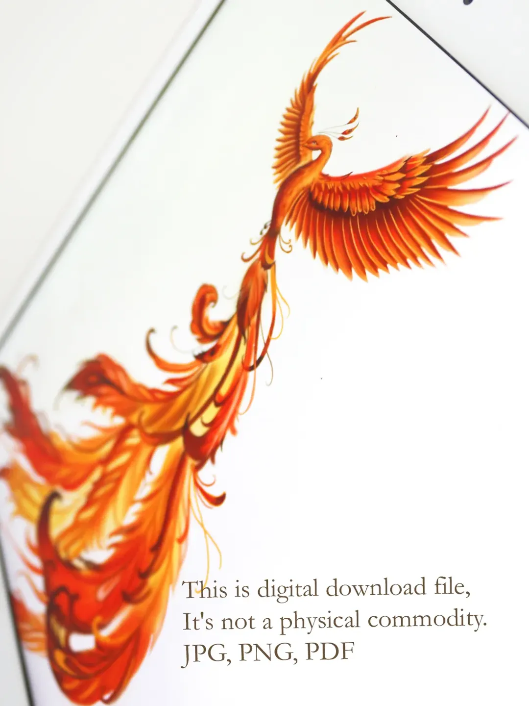 Phoenix Tattoo Design Female Phoenix Tattoo Sketch Phoenix Tattoo Ideas ...