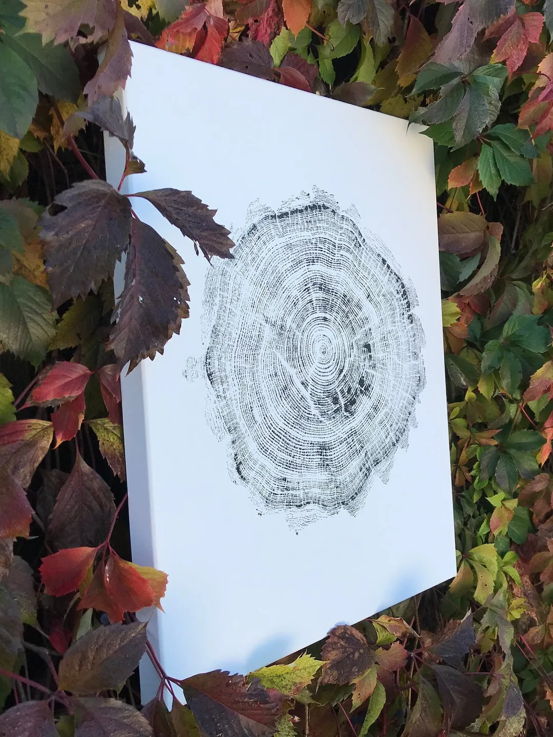 Real Wood art Tree ring imprint on canvas wall Printed by hand with ...