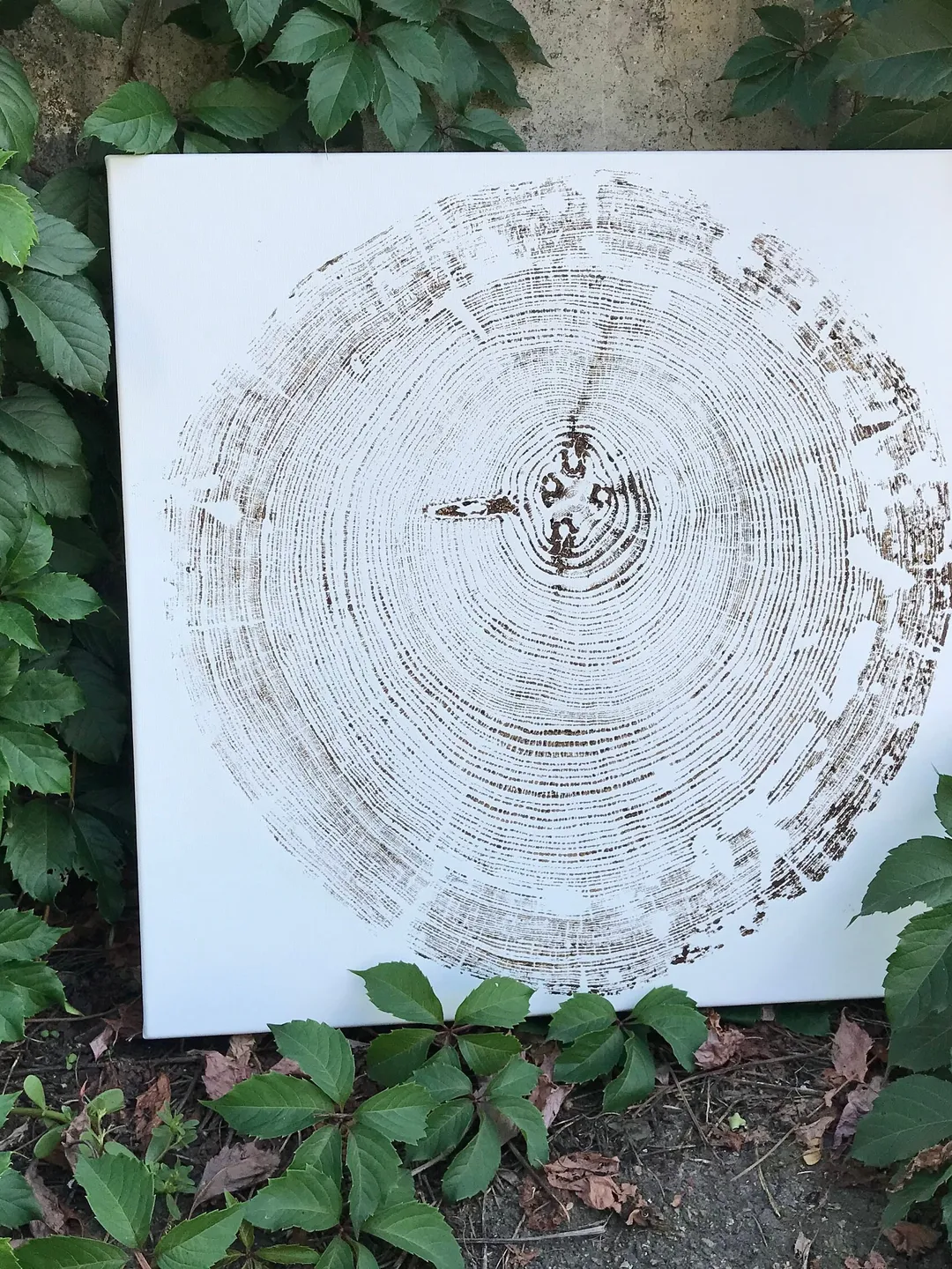 Real wood imprint with oil paints, real Tree Ring stamp, Nature Tree ...