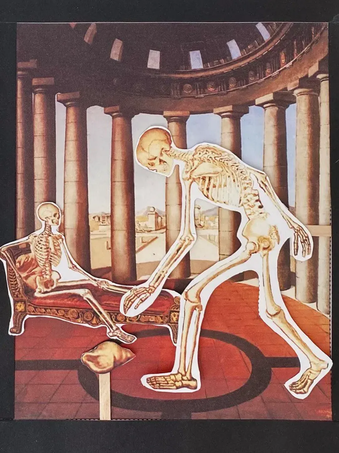 Anatomy board, FULL SET (skeleton and organs),Extra Large Human Anatomy ...
