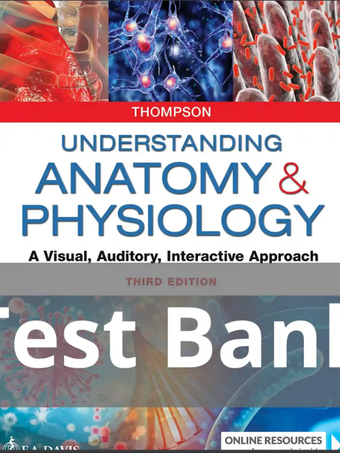 Test Bank for Understanding Anatomy and Physiology 3rd Edition Thompson