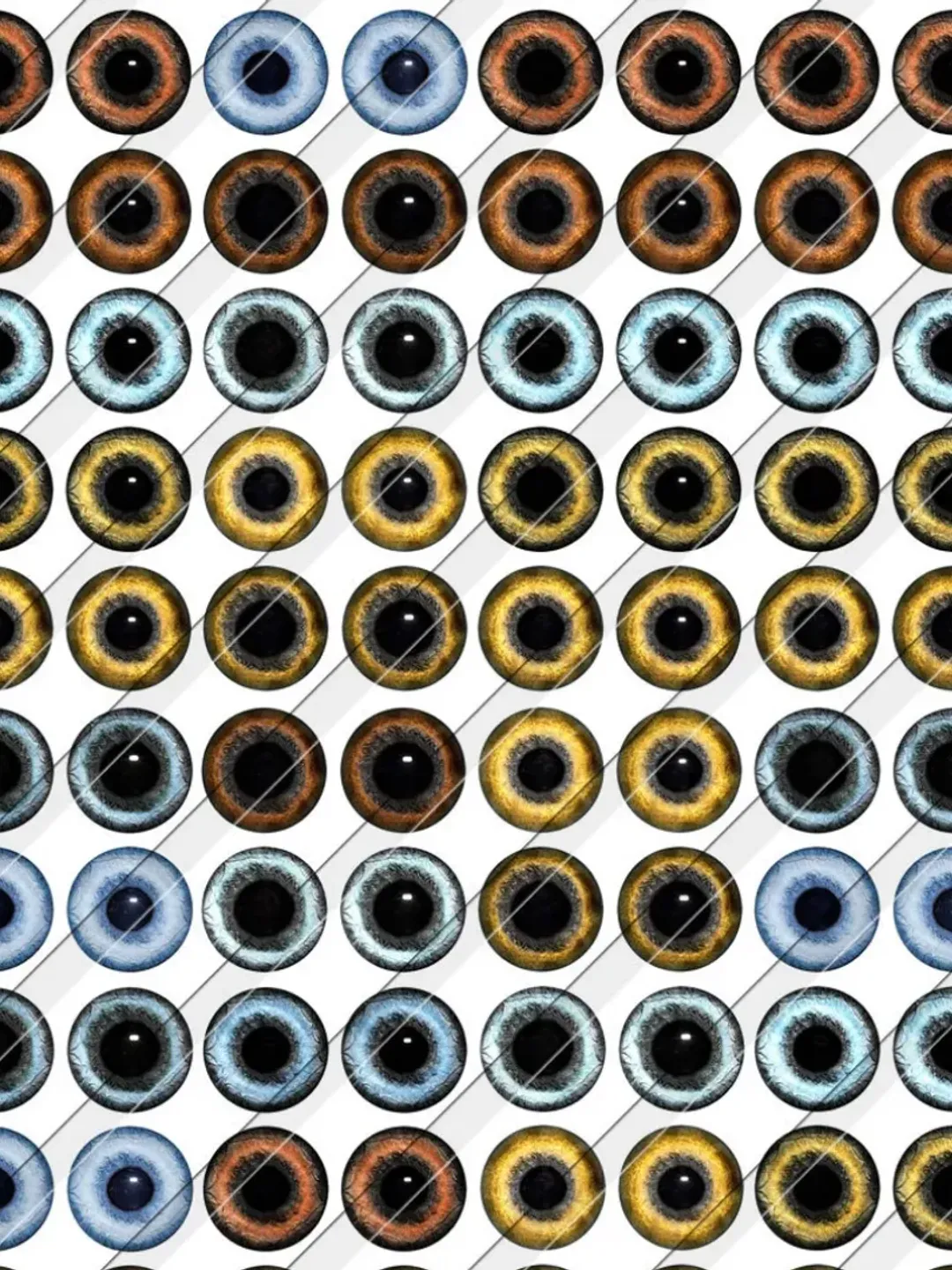 Doll Eyes, Realistic Dog Eyes, Digital eyes Collage, Sheets Printable ...