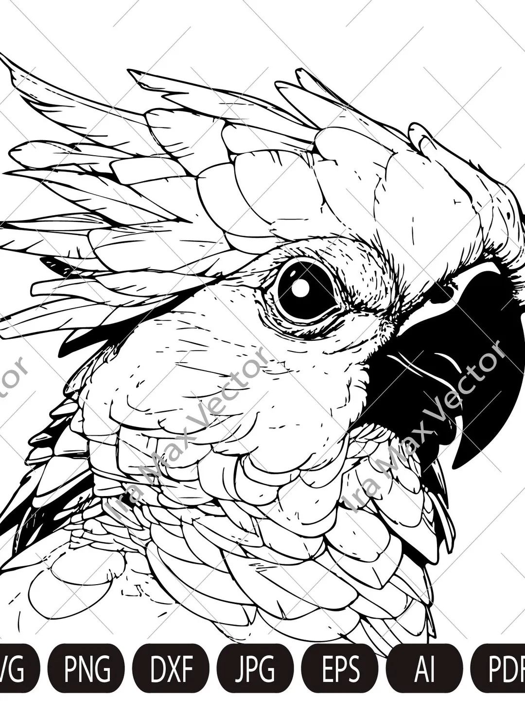 Cockatoo svg file, Cockatoo head, Cockatoo parrot, Cockatoo cut file ...