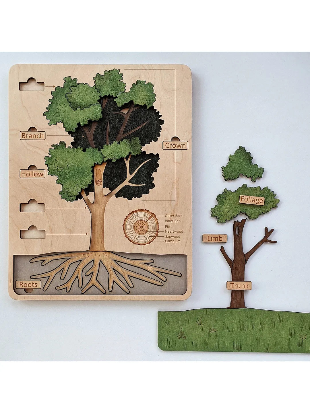 Wooden Tree structure puzzle Montessori Wooden puzzle science play