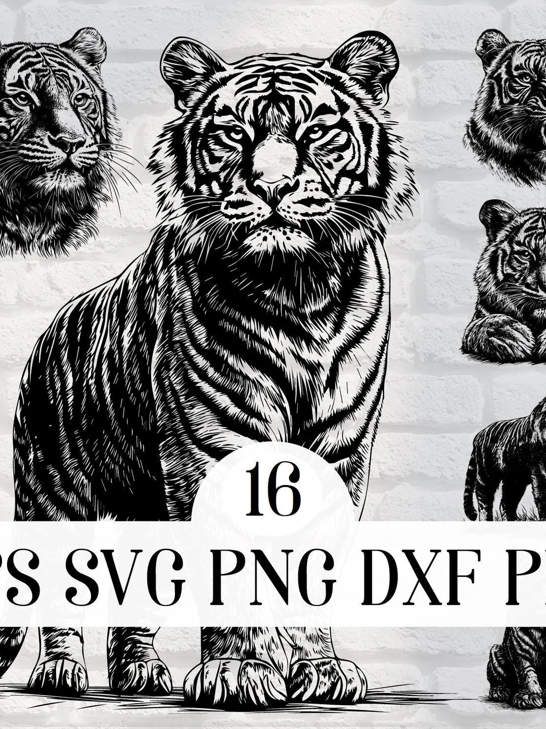Vector 16 Tiger Design Bundle cute Tigress PNG for Sublimation Tiger ...