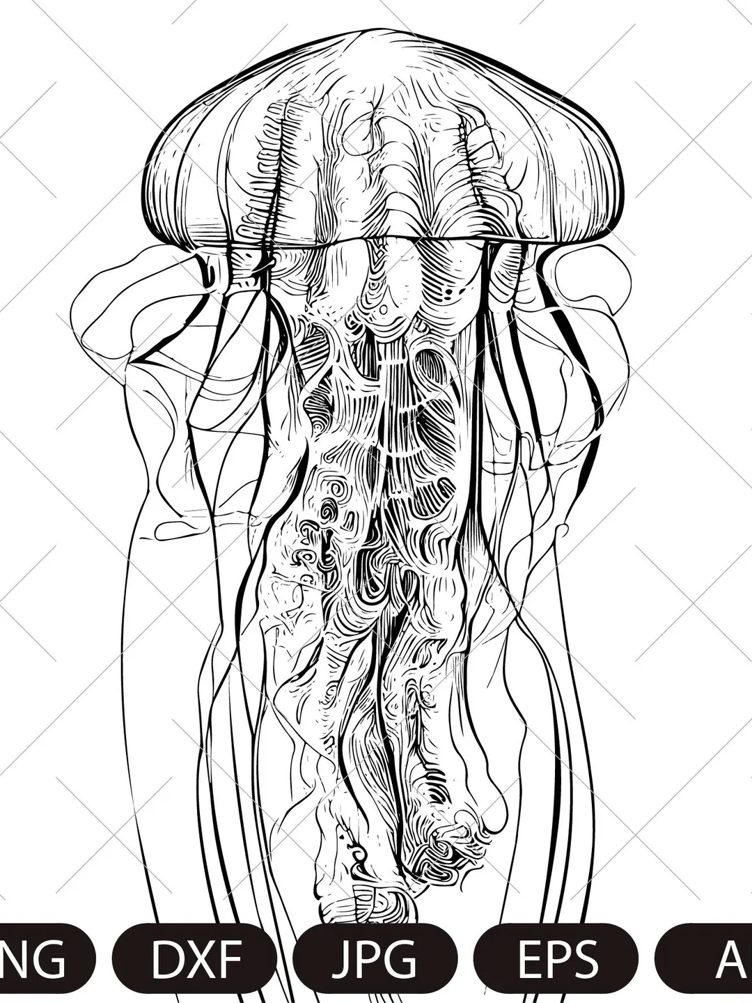 Jellyfish svg file, Jellyfish set, Ocean, Sea animals, Beach, Summer ...