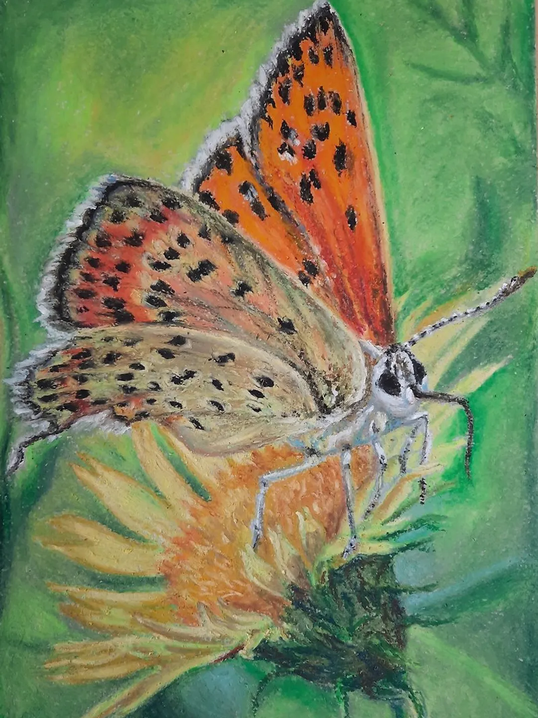 Monarch Butterfly Painting: Acrylic Insect Art Small - Shop Now!