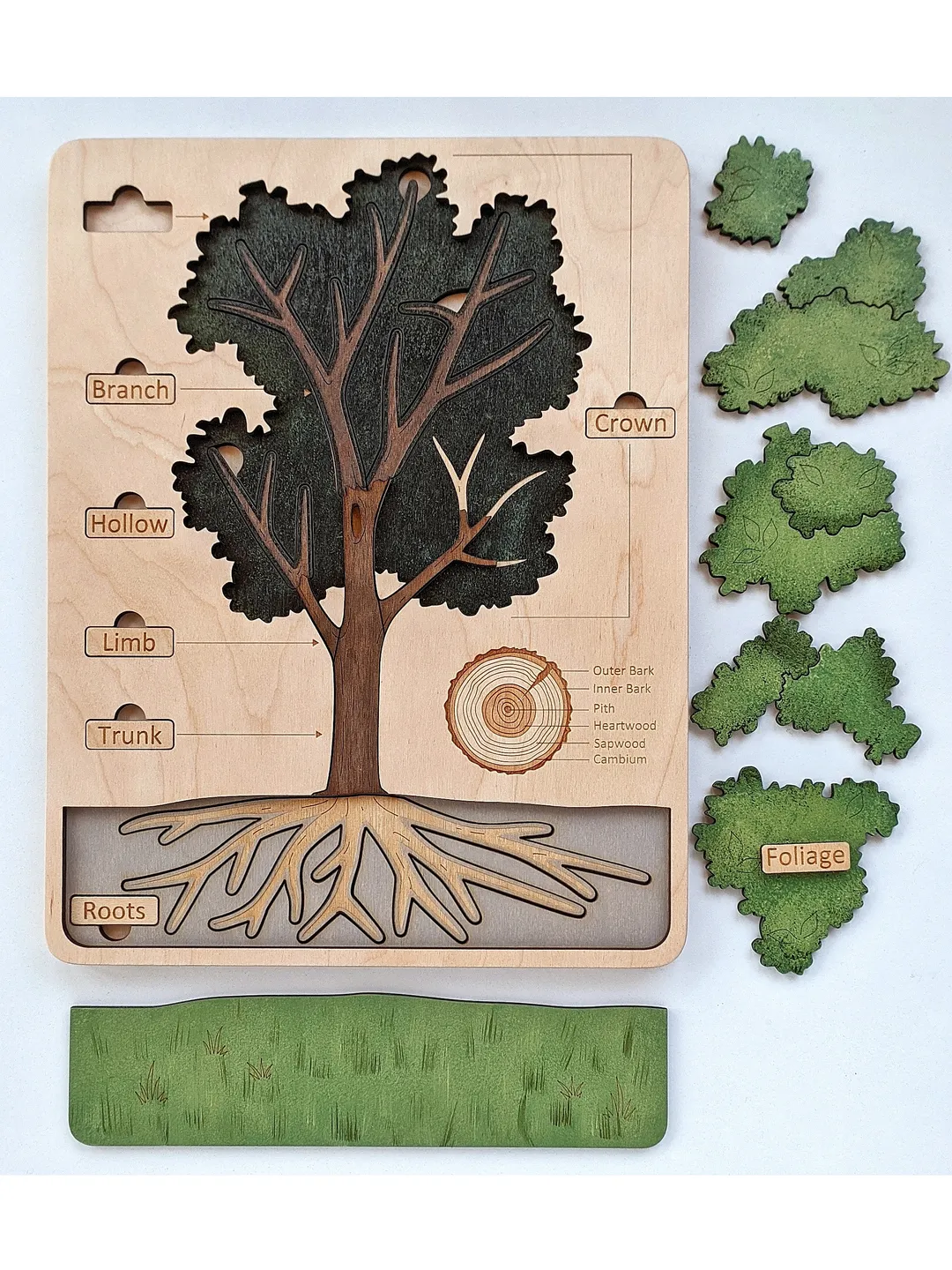 Wooden Tree structure puzzle Montessori Wooden puzzle science play