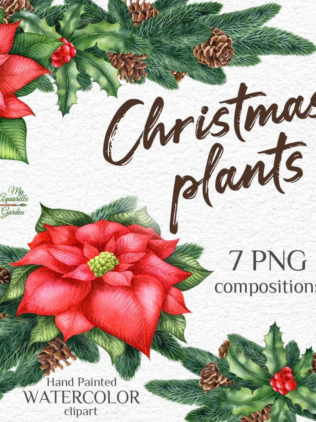 Christmas decor Fir twigs cones ilex holly poinsettia Watercolor hand ...