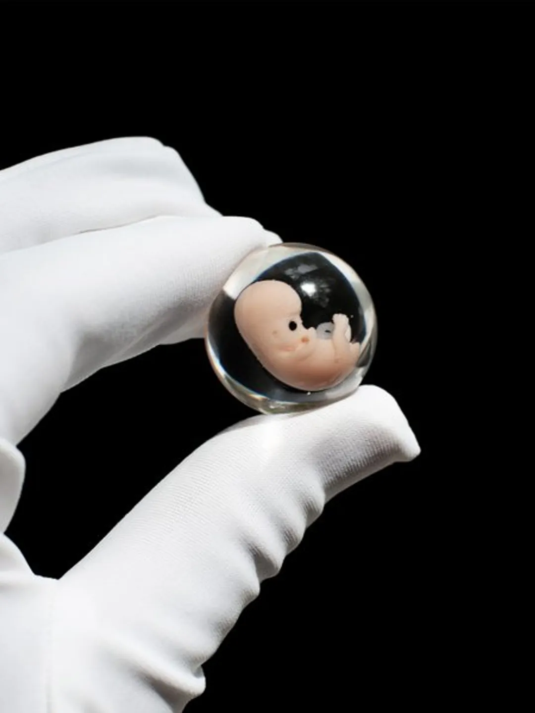 Embryo 7 weeks in Lens, 7 weeks pregnant, Sculpture cast in resin. With ...