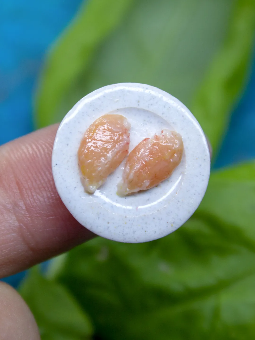 TUTORIAL Miniature raw chicken breast with polymer clay