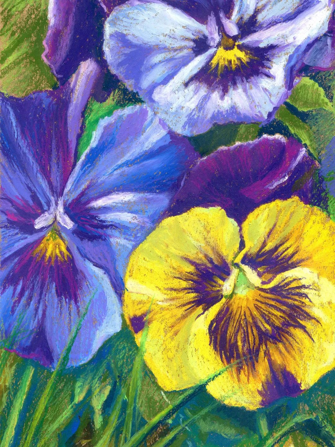 Drawing Viola yellow purple Garden variegated flowers Oil pastel on A4 ...