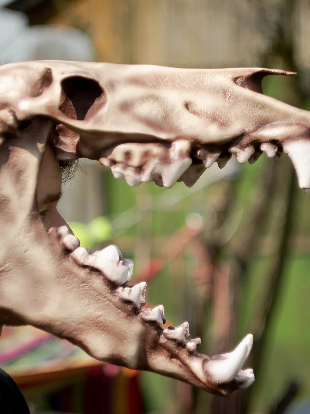 Wendigo big head Mask, Wendigo Mask Realistic face Mask, Horror Mask ...