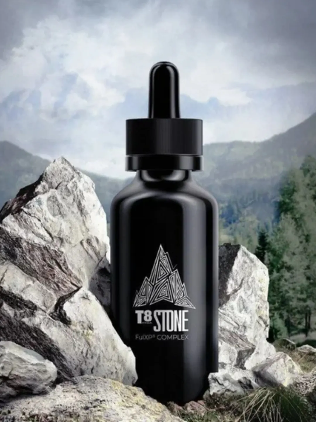 VILAVI T8 Stone Concentrate Humic Acids Energy Cell Cleansing Immunity