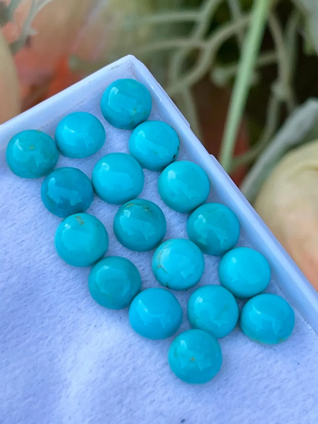 Arizona Turquoise Beads, 6mm Round Cabochon, USA Mined