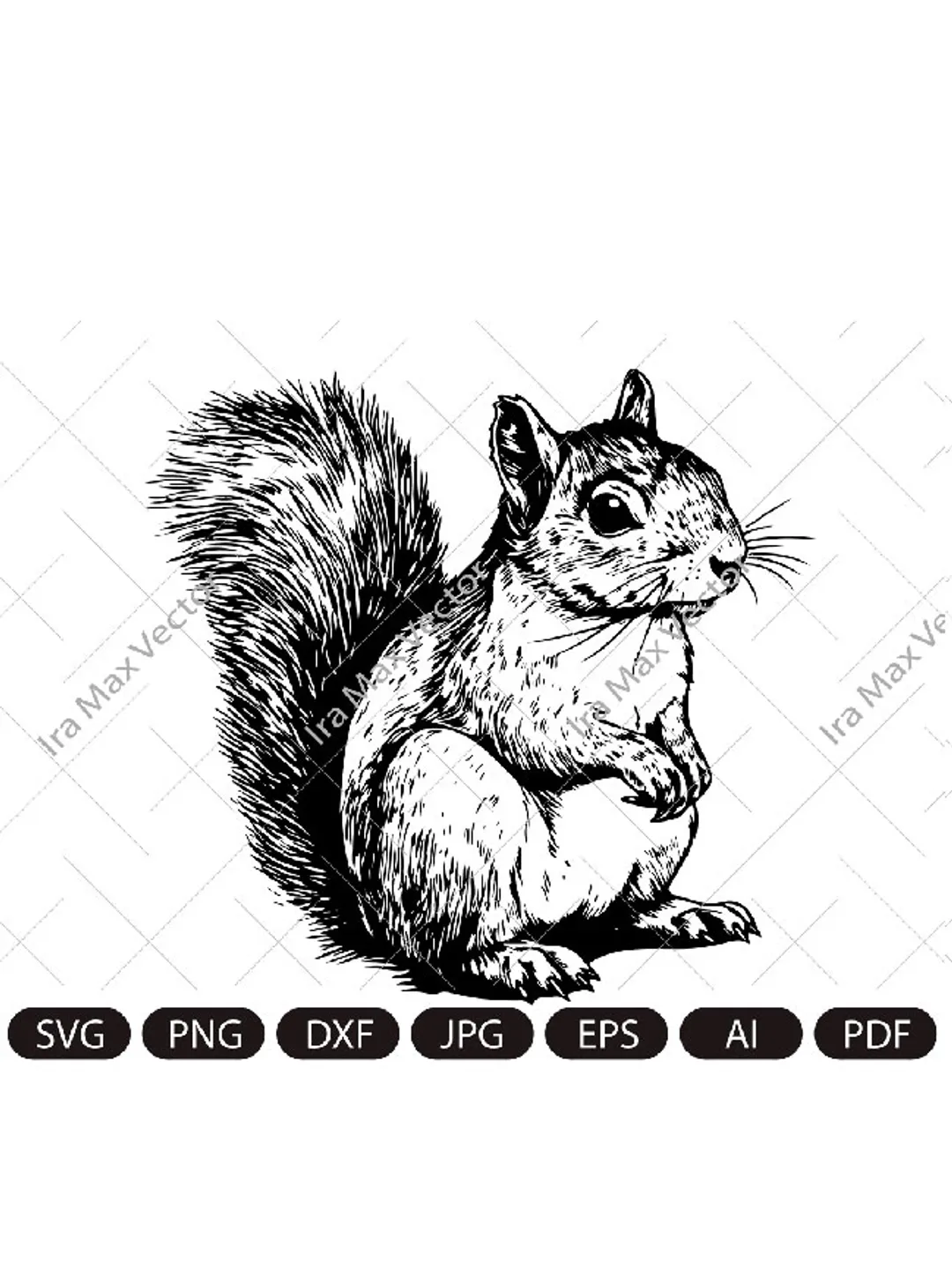 Squirrel Svg, Squirrel Silhouette, Squirrel Cricut, Squirrel Stencil ...