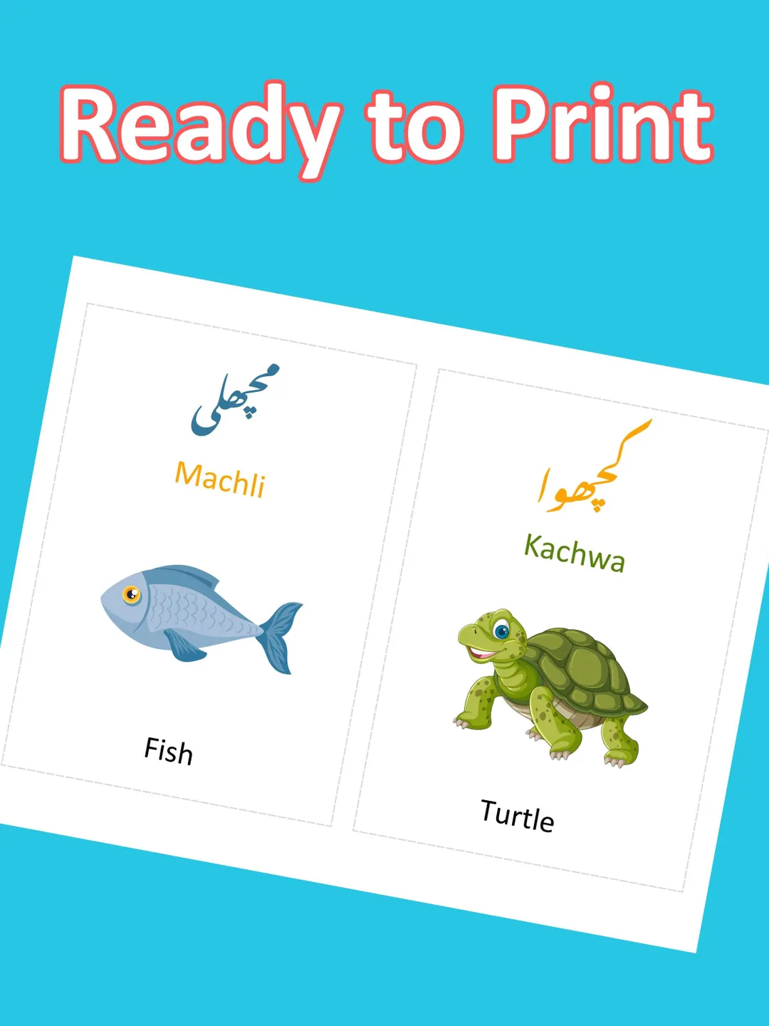 Urdu English Animals Flashcards: Bilingual Montessori Learning (Digital ...