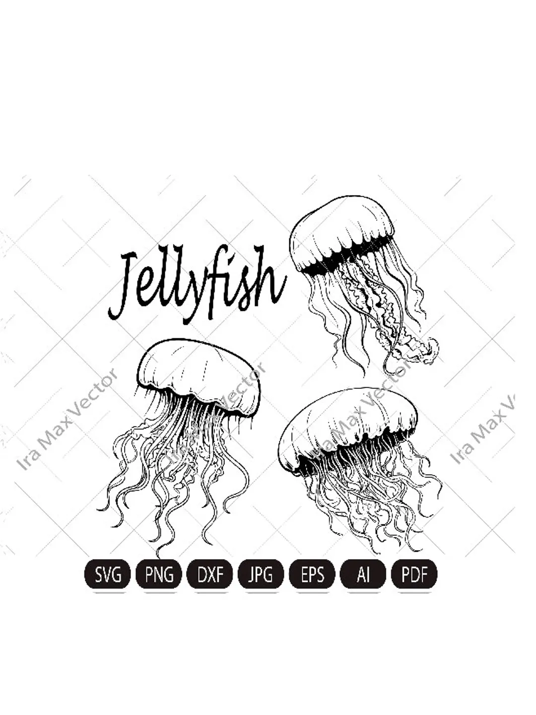 Jellyfish svg file, Jellyfish set, Ocean, Sea animals, Beach, Summer ...