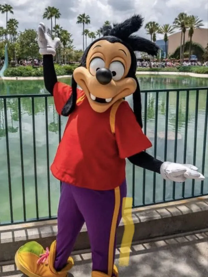 Goofy's shoes $75.00 | Buy online with delivery