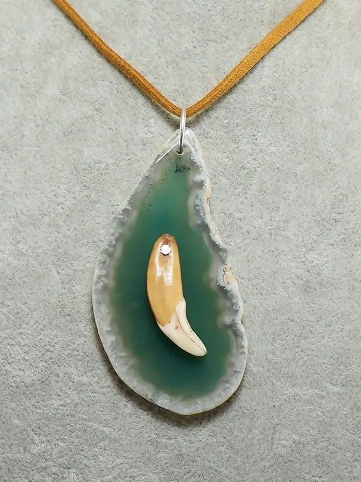 Real Wolf Tooth Necklace Green Agate Slab Wolf Fang Pendant Necklace ...