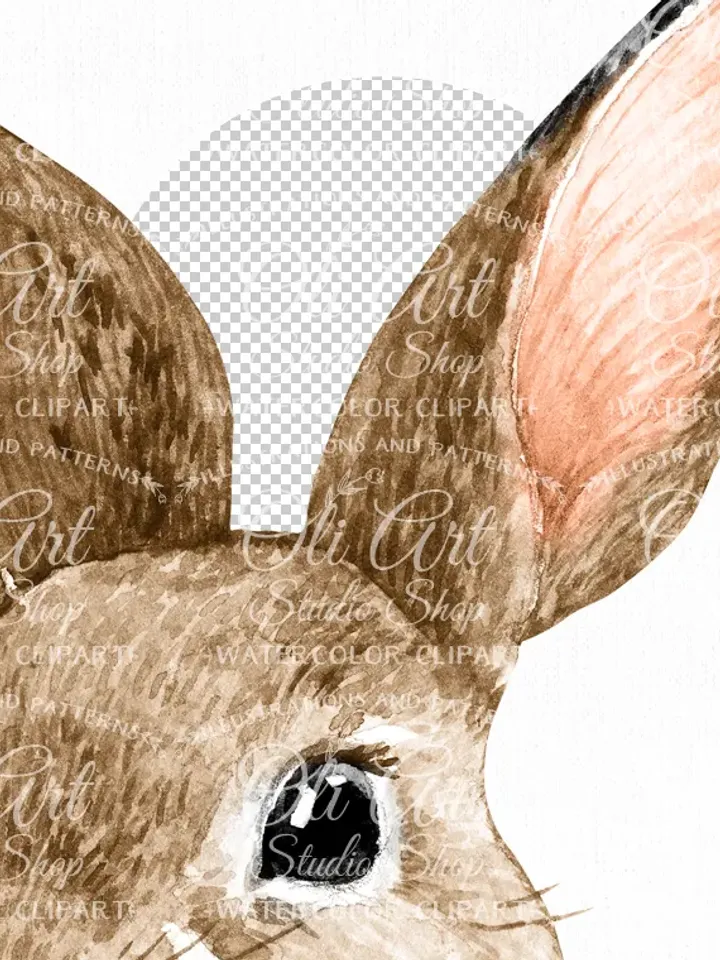 Easter Clip Art. Easter bunny. Png File, Hand Drawn graphics. Digital ...