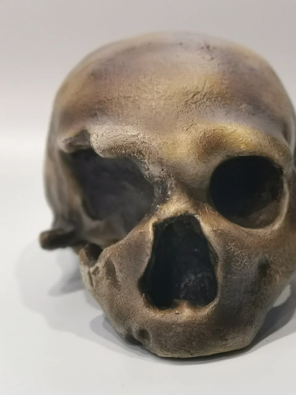 Homo Naledi Skull Replica of DH1 Find, Full-size 3d printed Hominid ...