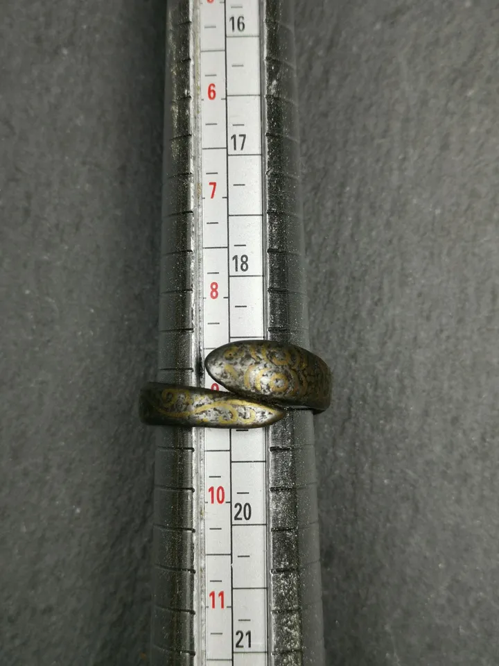 Gandhanra Unique Handcrafted Tibetan Snake Ring | Cold Iron Ring ...