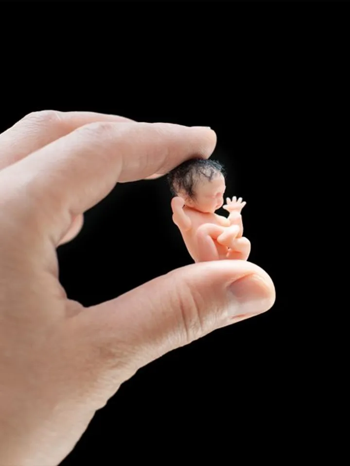Tiny baby girl(3.7 cm x 2.7 cm) $70.00 | Buy online with delivery