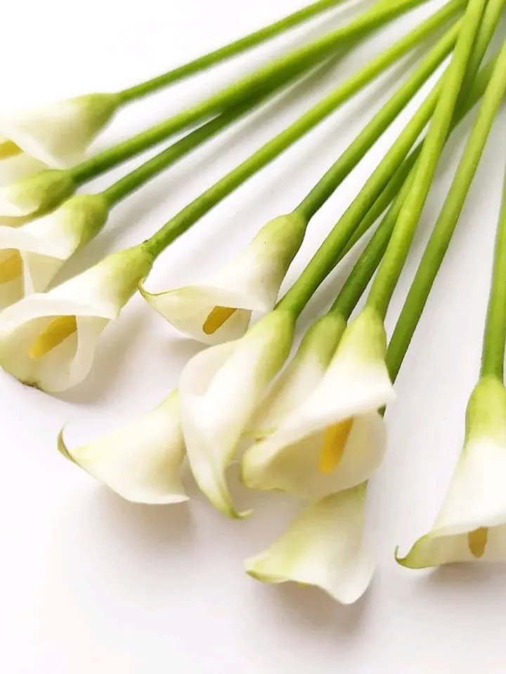 Miniature Calla (1pcs) 1/6 scale Freeshipping Dollhouse flowers $15.00 ...