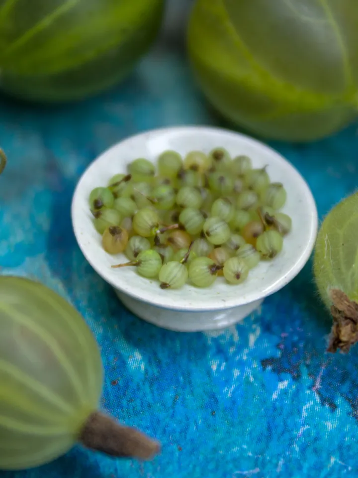 TUTORIAL Miniature gooseberries with polymer clay $11.00 | Buy online ...