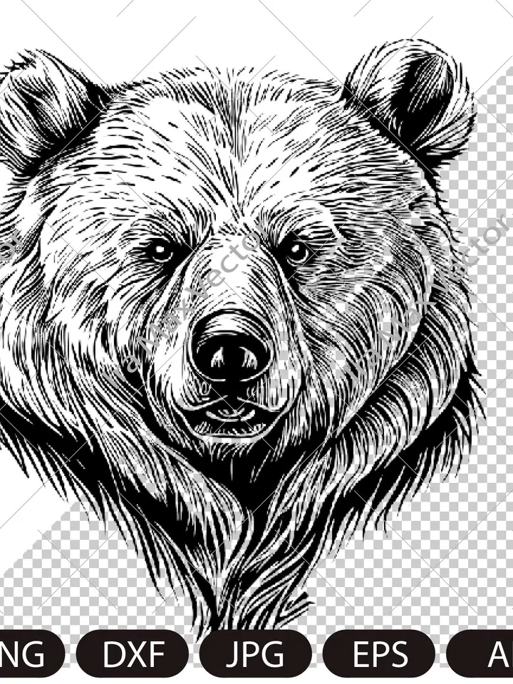 BEAR HEAD SVG, Bear Clipart, Bear Face Svg, Bear, Grizzly Bear Vector ...