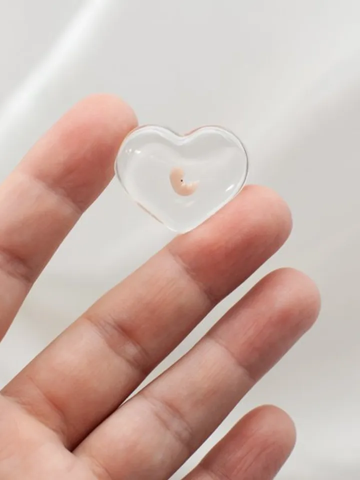 Embryo 5-6 weeks, 5 weeks pregnant, Wide heart shape, Sculpture cast in ...