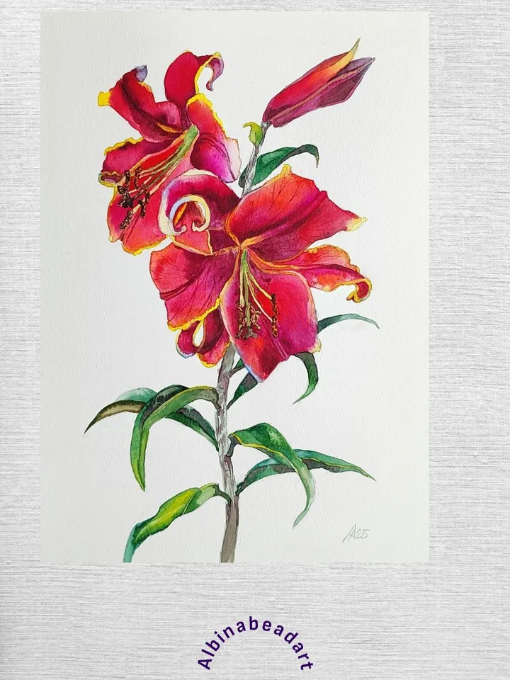 Red lily painting original watercolor art floral artwork flower 8 by 12 ...
