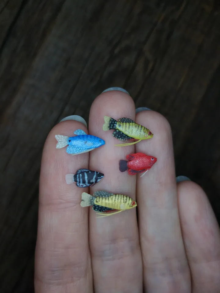 Miniature clay Gourami fish 5 pcs, tiny fish for diorama, dollhouse or ...