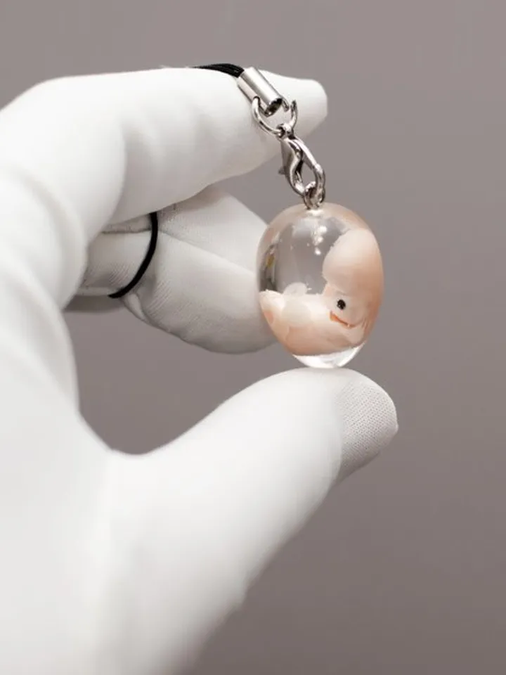 Embryo 7 weeks, 7 weeks pregnant, Sculpture cast in resin, charm ...