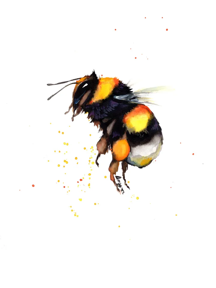 Bee Watercolour, bumblebee painting, wall decor, natura lover gift ...