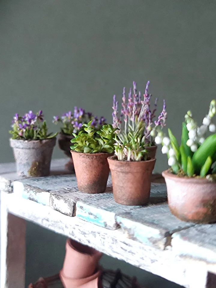 Miniature 1:12 realistic greenery, sprouts, seedlings in a pot for a ...